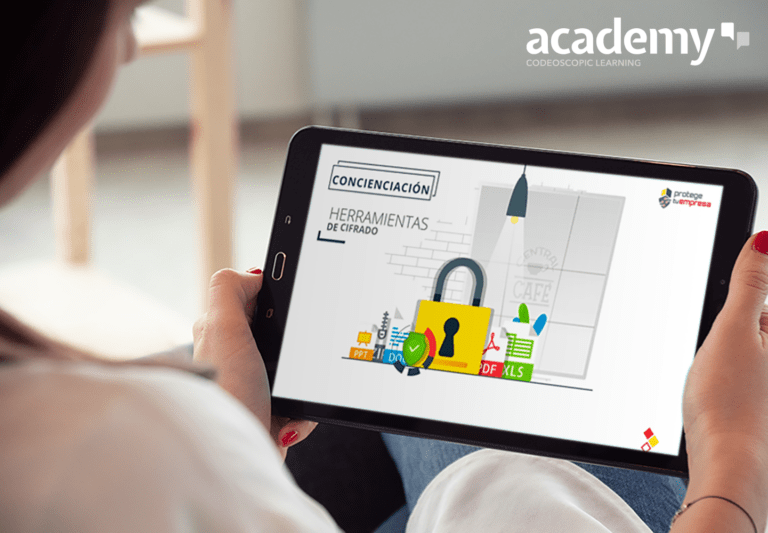 Blog-Academy-SKILLS-INCIBE-ciberseguridad • Codeoscopic